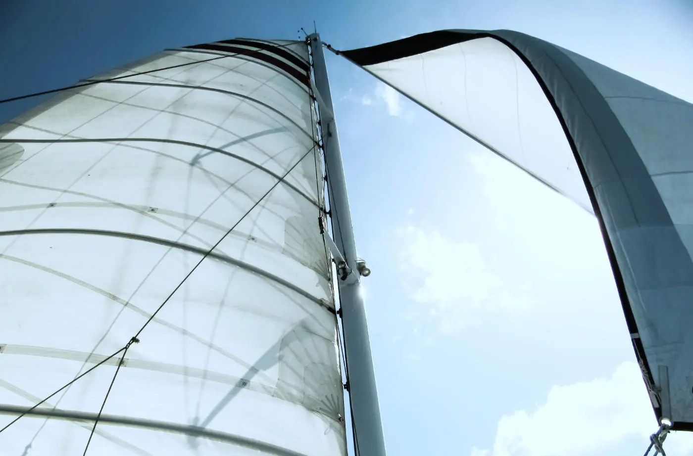 Difference Between a Spinnaker and a Genoa Sail? - Sailinghavens Difference Between a Spinnaker and a Genoa Sail? - Sailinghavens